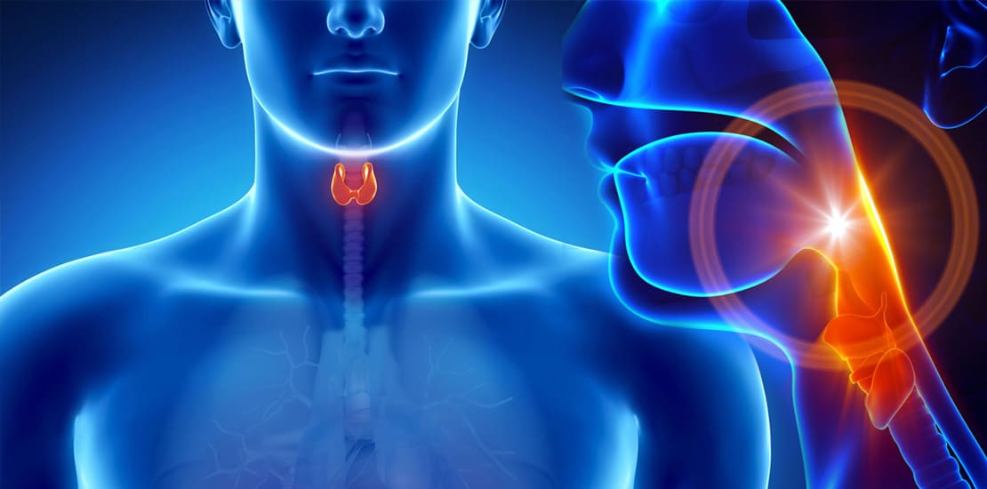 Endocrinology – Tursium Health Tourism Agency