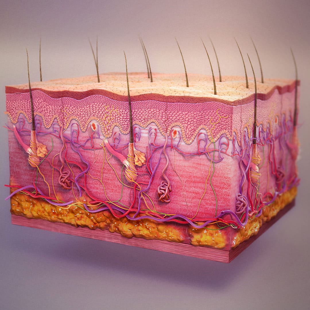 General Surgery – Tursium Health Tourism Agency